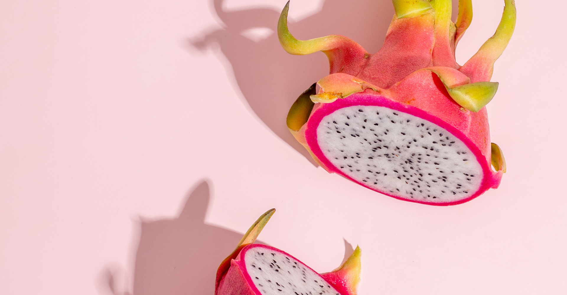 Entreprises - Confiez votre recrutement à DIGIPOP